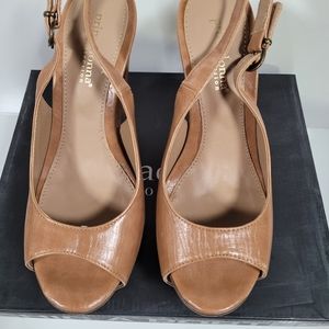 Primadonna Collection | Shoes | Primadonna Collection Brown Stilleto ...